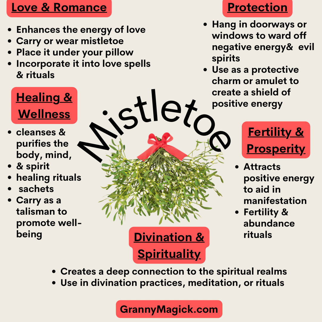 Mistletoe, Dried & Cut – Granny Magick Margaret Jamison